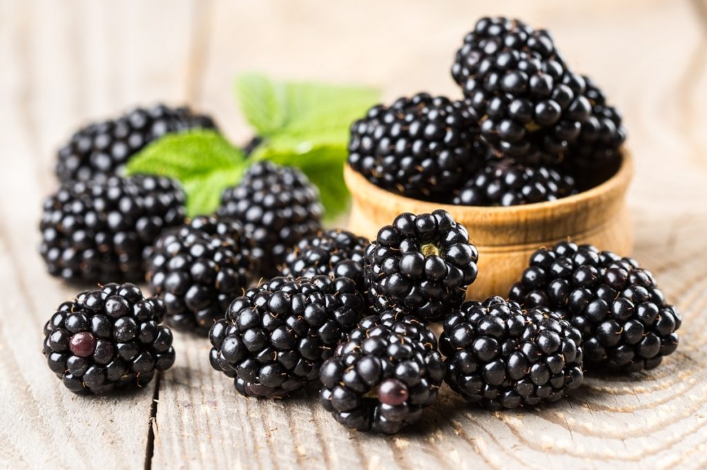 Beneficios para salud de las moras - Salud teu