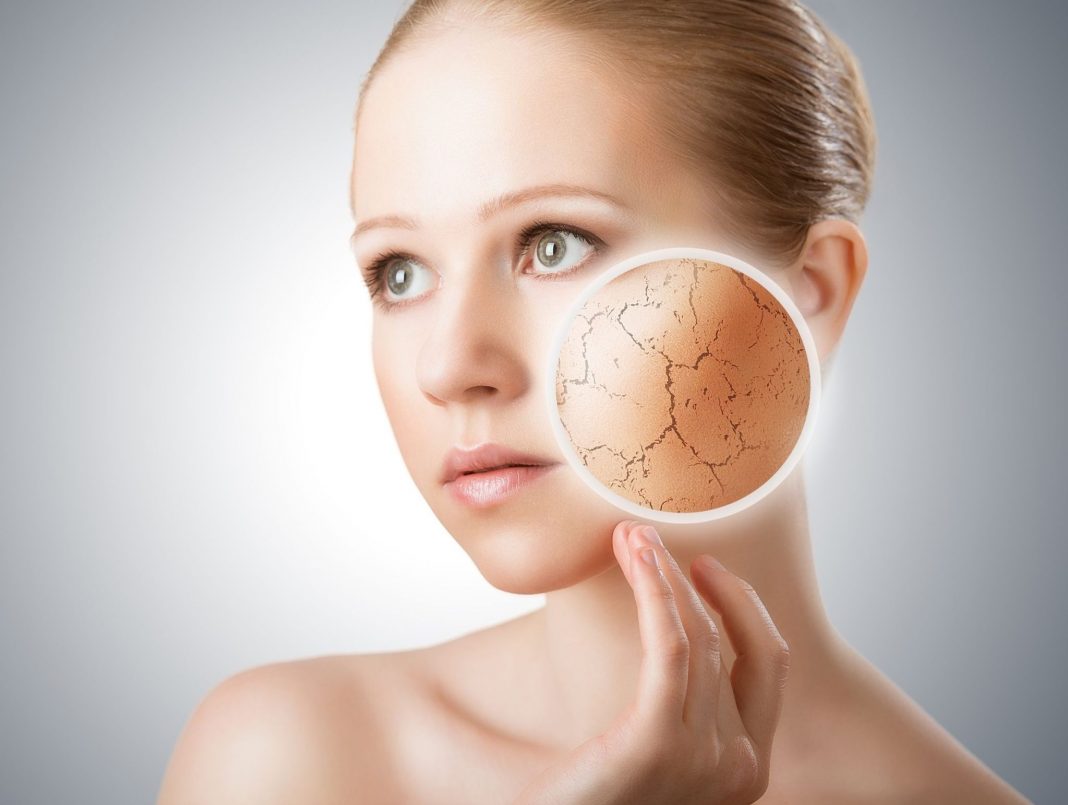 Remedios caseros para la piel seca - Salud teu