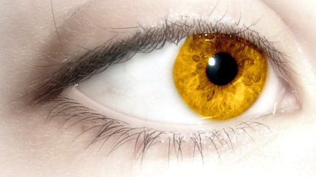 ¿Cómo deshacerse de los ojos Amarillos Rápidamente? - Salud teu