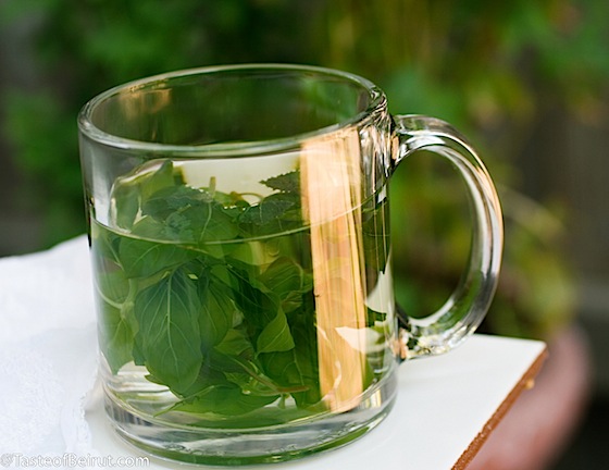 15 beneficios asombrosos para la salud del té de albahaca - Salud teu