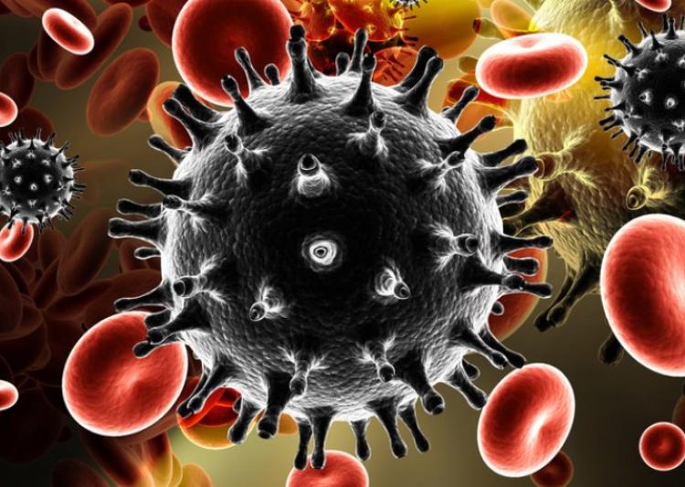 Cómo prevenir la infección por el VIH (mujeres) - Salud teu