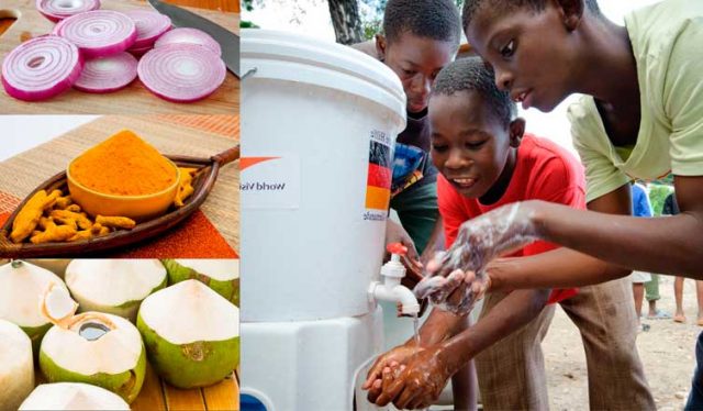 Remedios caseros para el cólera - Salud teu