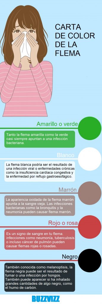 Cómo deshacerse de la flema (mucosidad): 17 mejores maneras - Salud teu